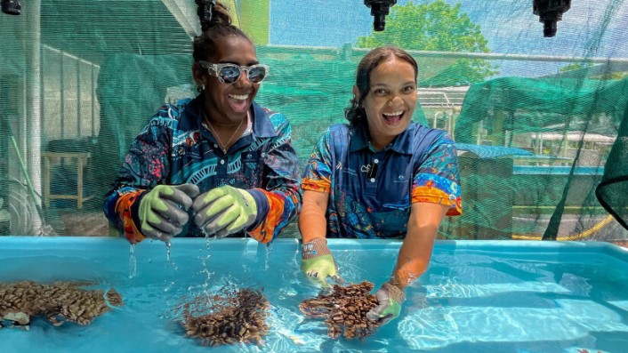 Empowering Indigenous Rangers to care for sea Country on the Great Barrier Reef | AIMS